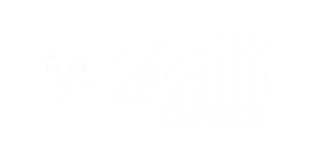 Tubing - Watalii Safaris