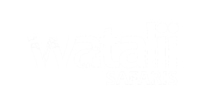 Watalii Safaris - Nature tells stories, we can take you to hear them.