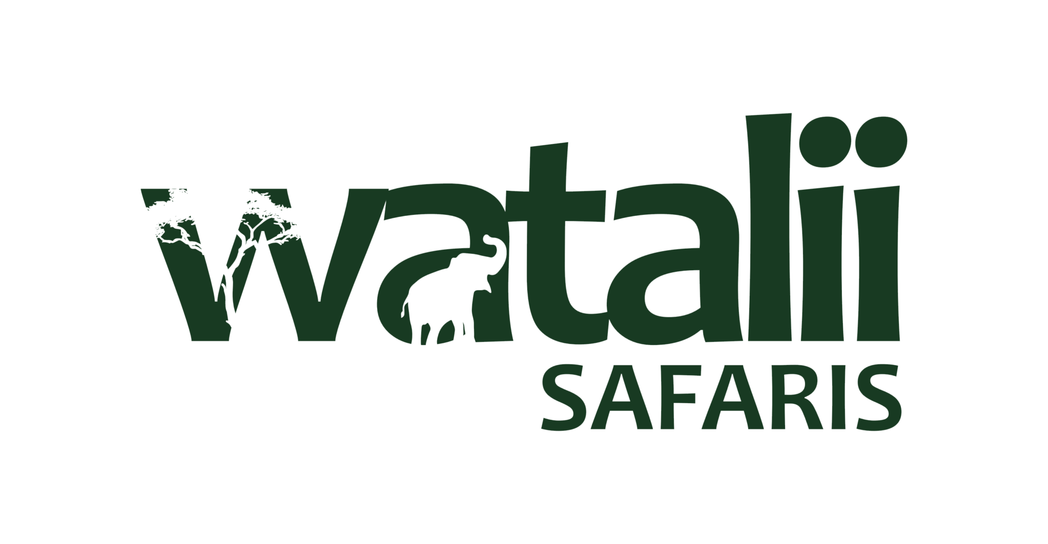 Watalii Safaris – Your friends beyond the adventure