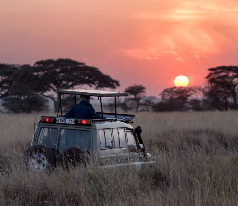 Watalii Safaris – Your friends beyond the adventure