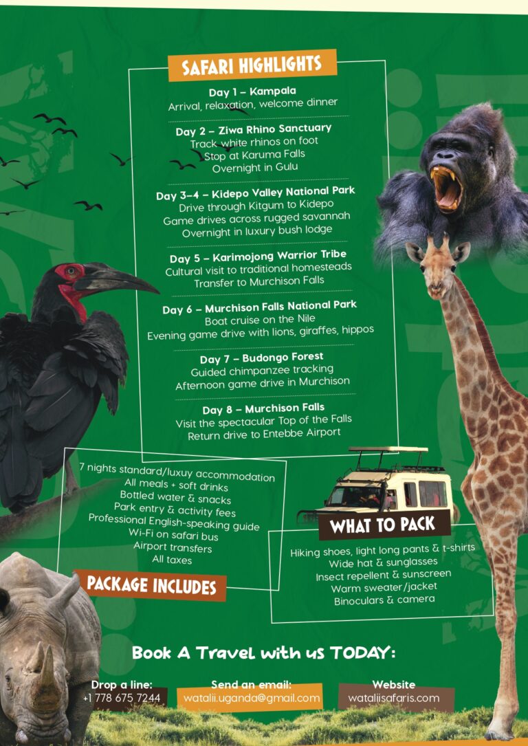 Watalii Safaris - Nature tells stories, we can take you to hear them.